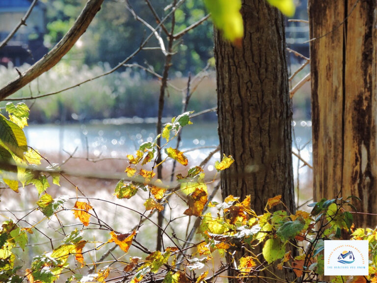 Hidden Lake Bloomfield Hills - Lake homes on Hidden Lake in Bloomfield ...